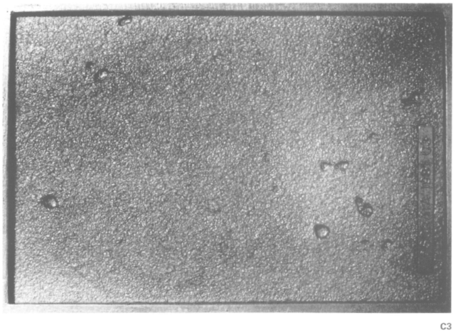 ASTM A 802 SCRATA - Comparators for the definition of surface quality ...