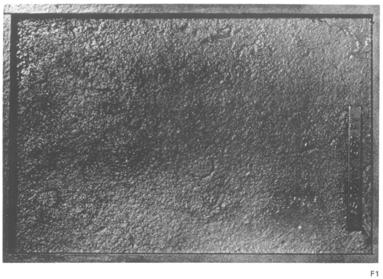 ASTM A 802 SCRATA - Comparators for the definition of surface quality ...