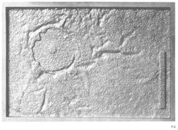 ASTM A 802 SCRATA - Comparators for the definition of surface quality ...