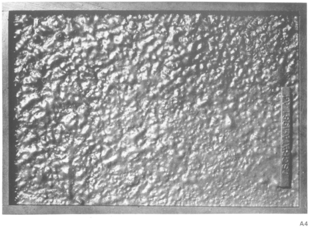 ASTM A 802 SCRATA - Comparators for the definition of surface quality ...