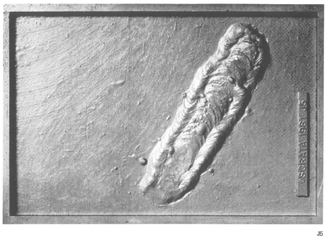 ASTM A 802 SCRATA - Comparators for the definition of surface quality ...